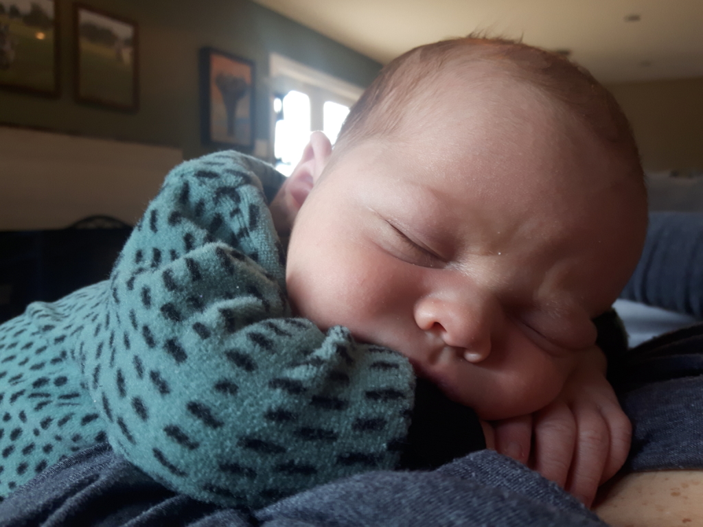 January: Welcome Baby Dawson! - Swiftsure Equine